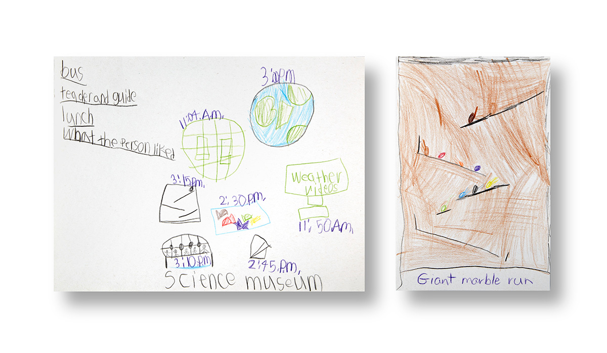 After the Field Trip Lesson Plan