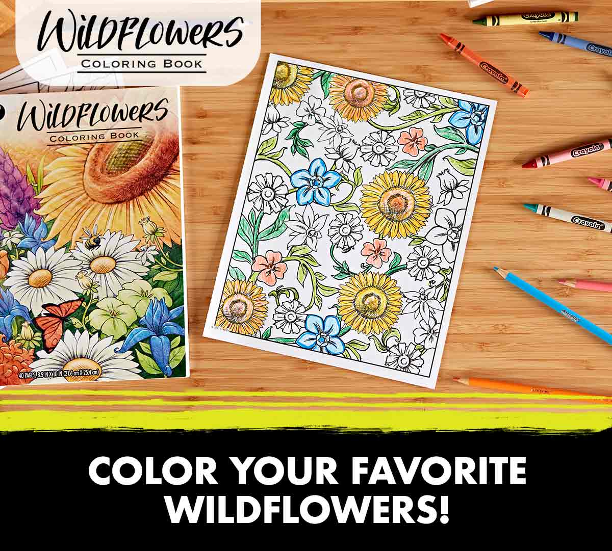 american wild flowers coloring book