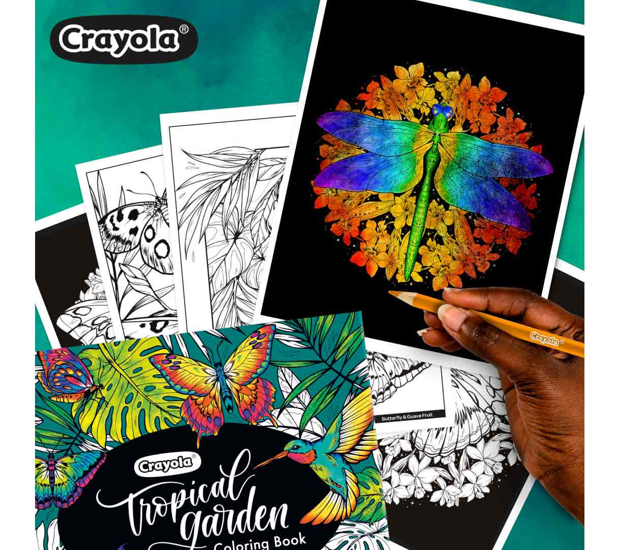 coloring book tropical